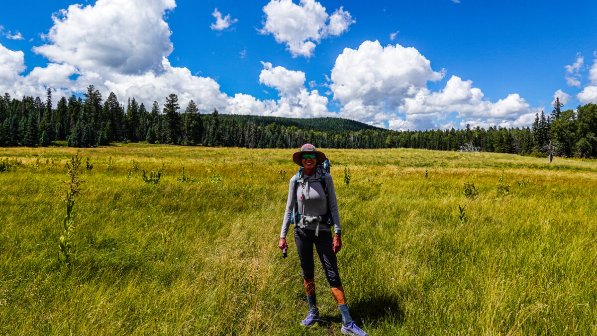 Hike Mount Baldy Trail in Arizona | Learn About Hiking Mount Baldy