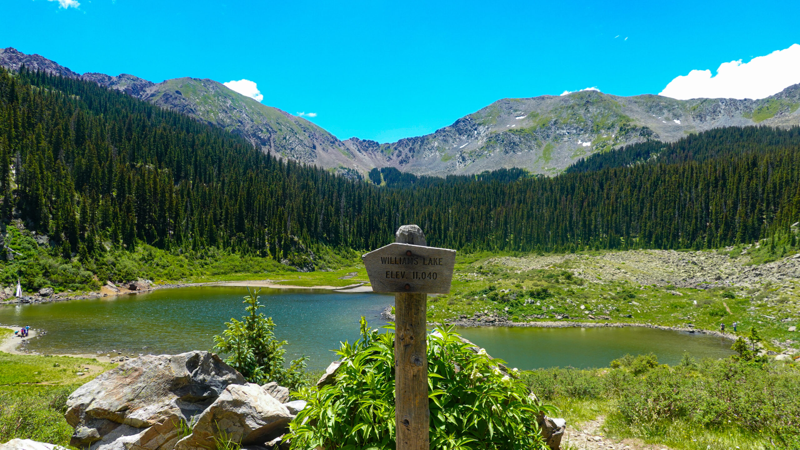 Wheeler Peak Hike Guide: Hiking New Mexico’s Tallest Mountain